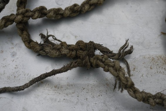 La Palabra Del Dia: "aferrar" | SpanishDictionary.com Answers